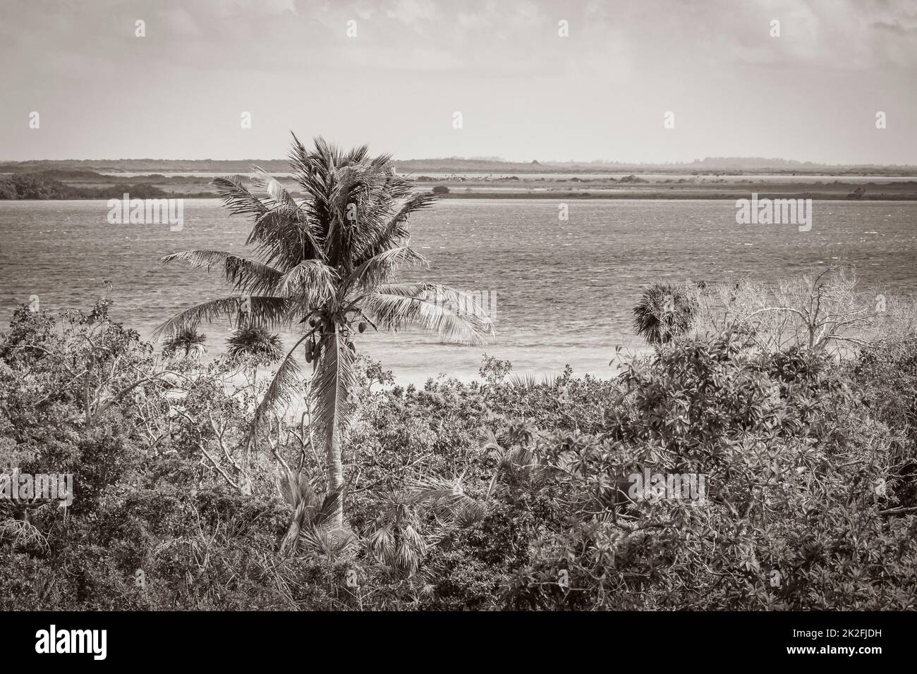 Muyil Lagoon panorama view in tropical jungle of amazing Mexico Stock ...