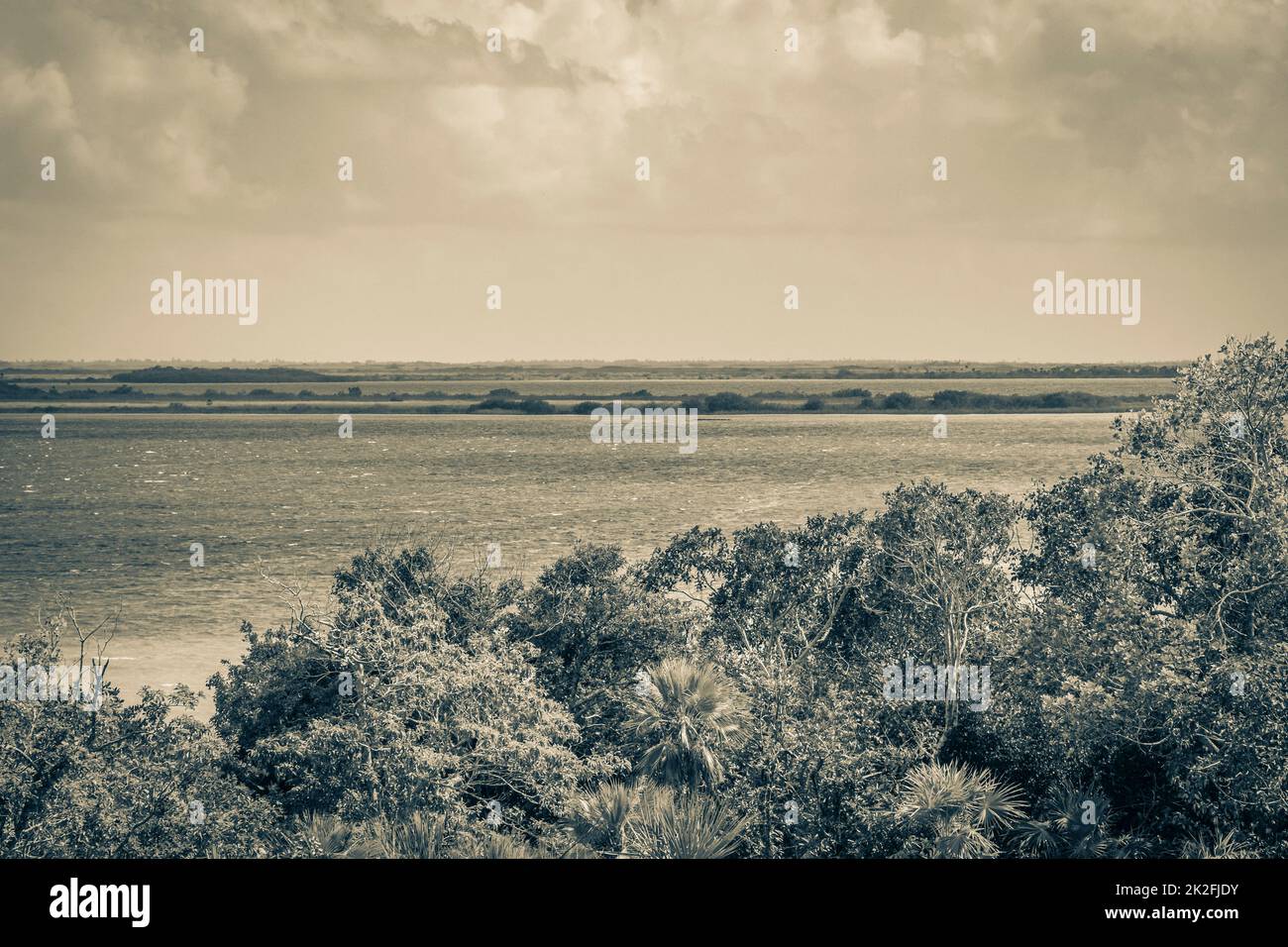 Muyil Lagoon panorama view in tropical jungle of amazing Mexico Stock ...