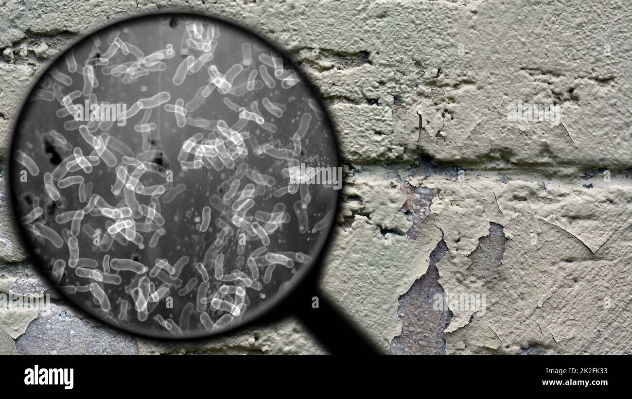 Bacteria cell surface hi-res stock photography and images - Alamy