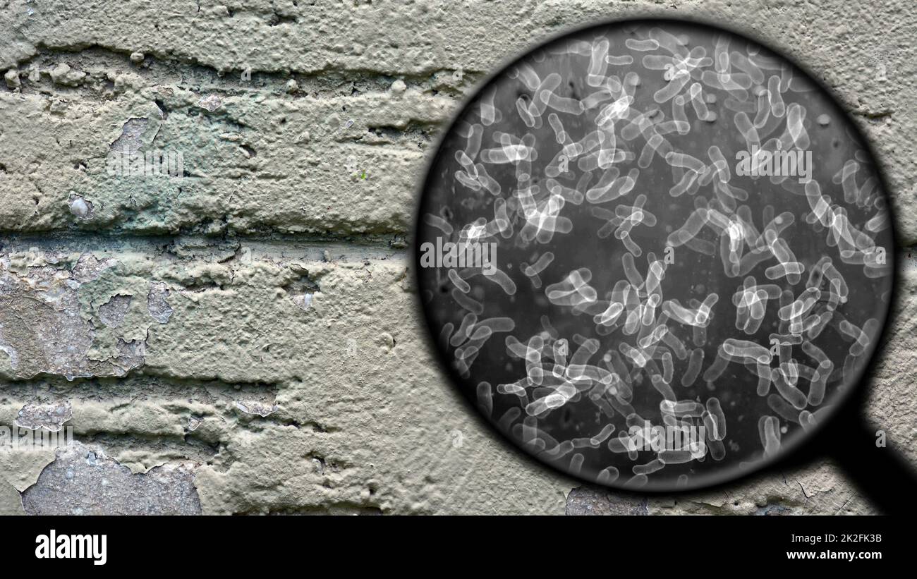 Bacteria surface hi-res stock photography and images - Alamy