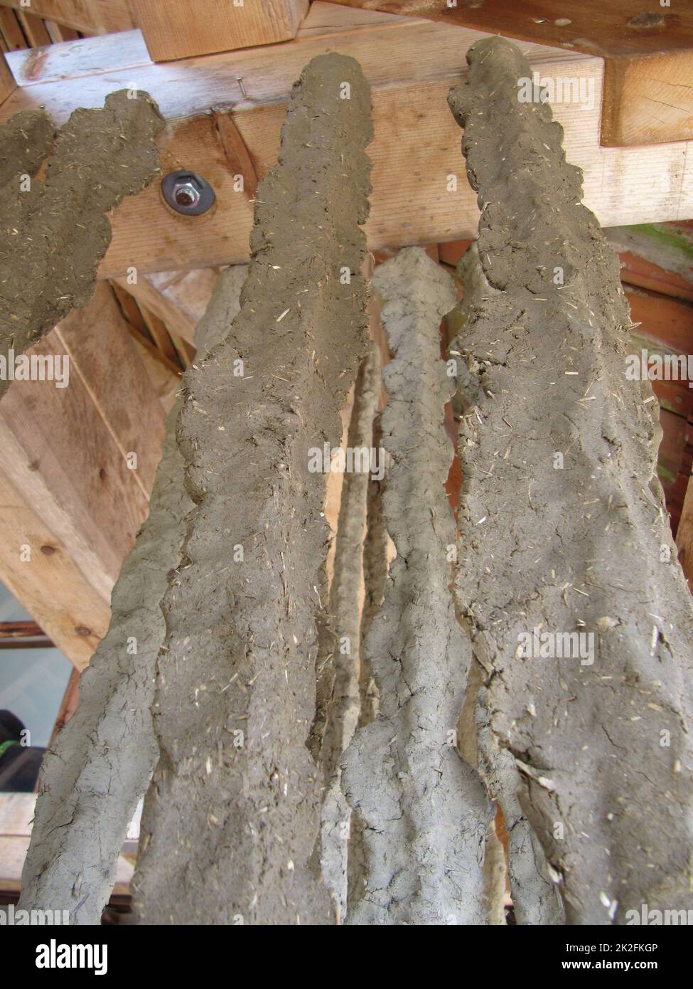 Loam hi-res stock photography and images - Alamy