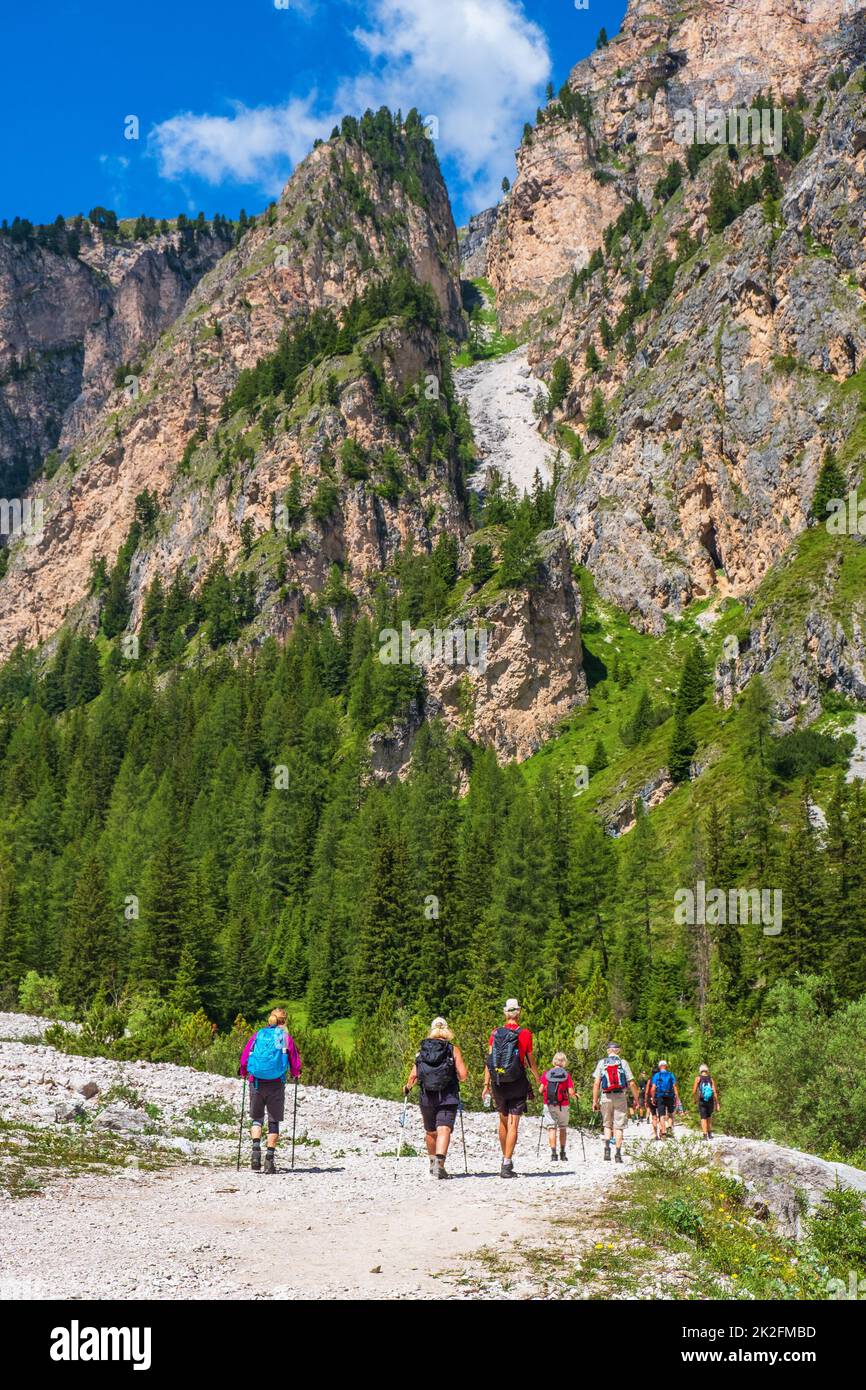 Mountain hikers on a path in a canyon Stock Photo - Alamy