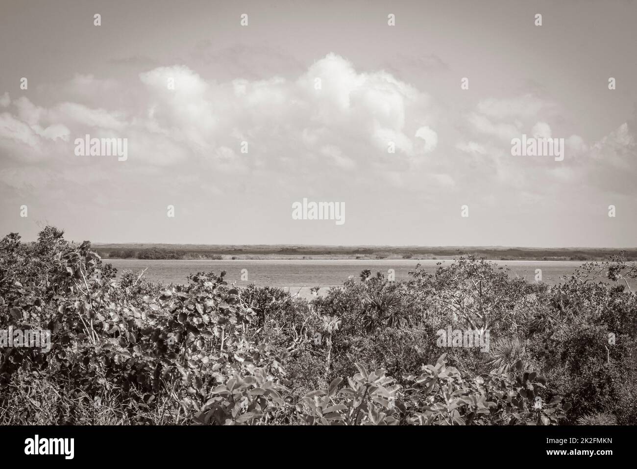 Muyil Lagoon panorama view in tropical jungle of amazing Mexico Stock ...