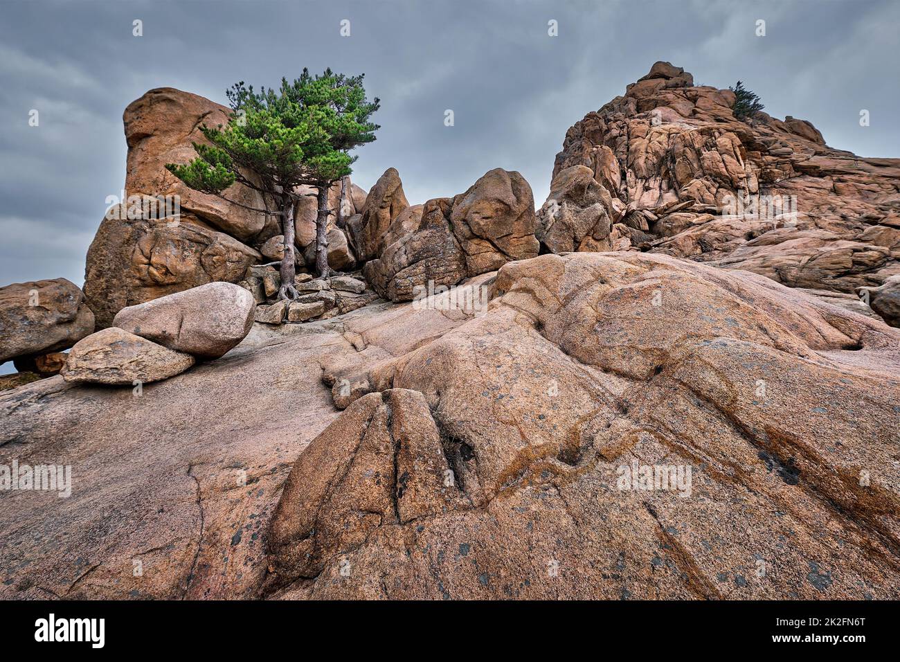 Rock with pine trees in Seoraksan National Park, South Korea Stock ...