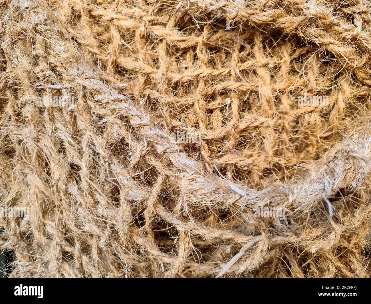 Surface net hi-res stock photography and images - Alamy