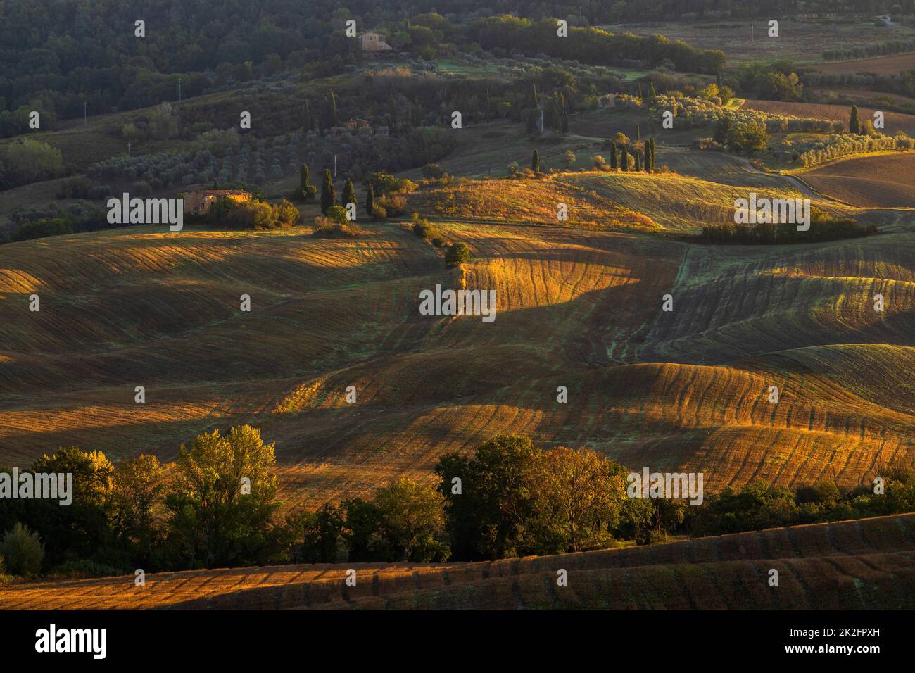 Typical Tuscan morning autumn landscape, Val D'Orcia, Tuscany, Italy ...