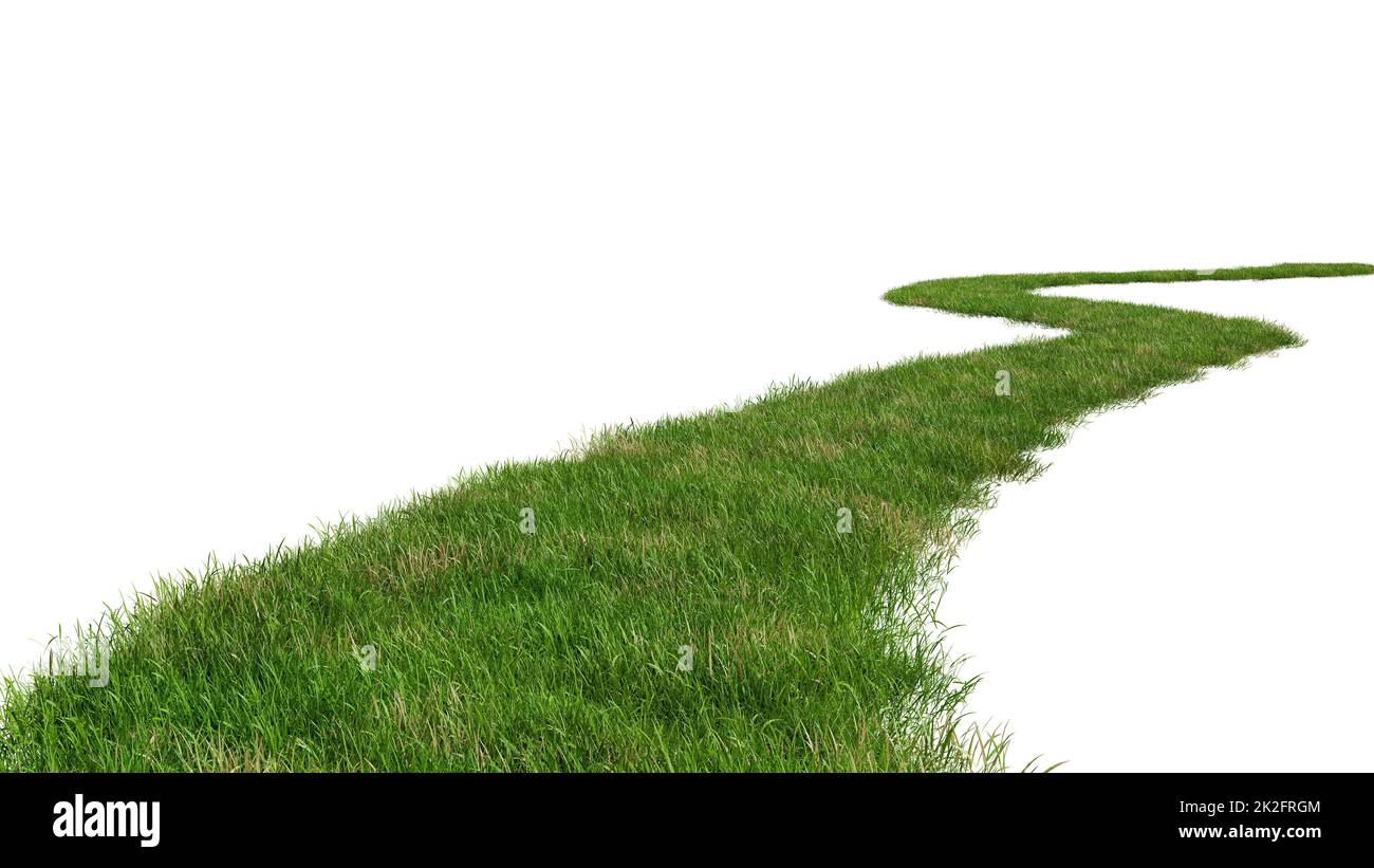Path way with grass on white background with copy space Isolated on ...