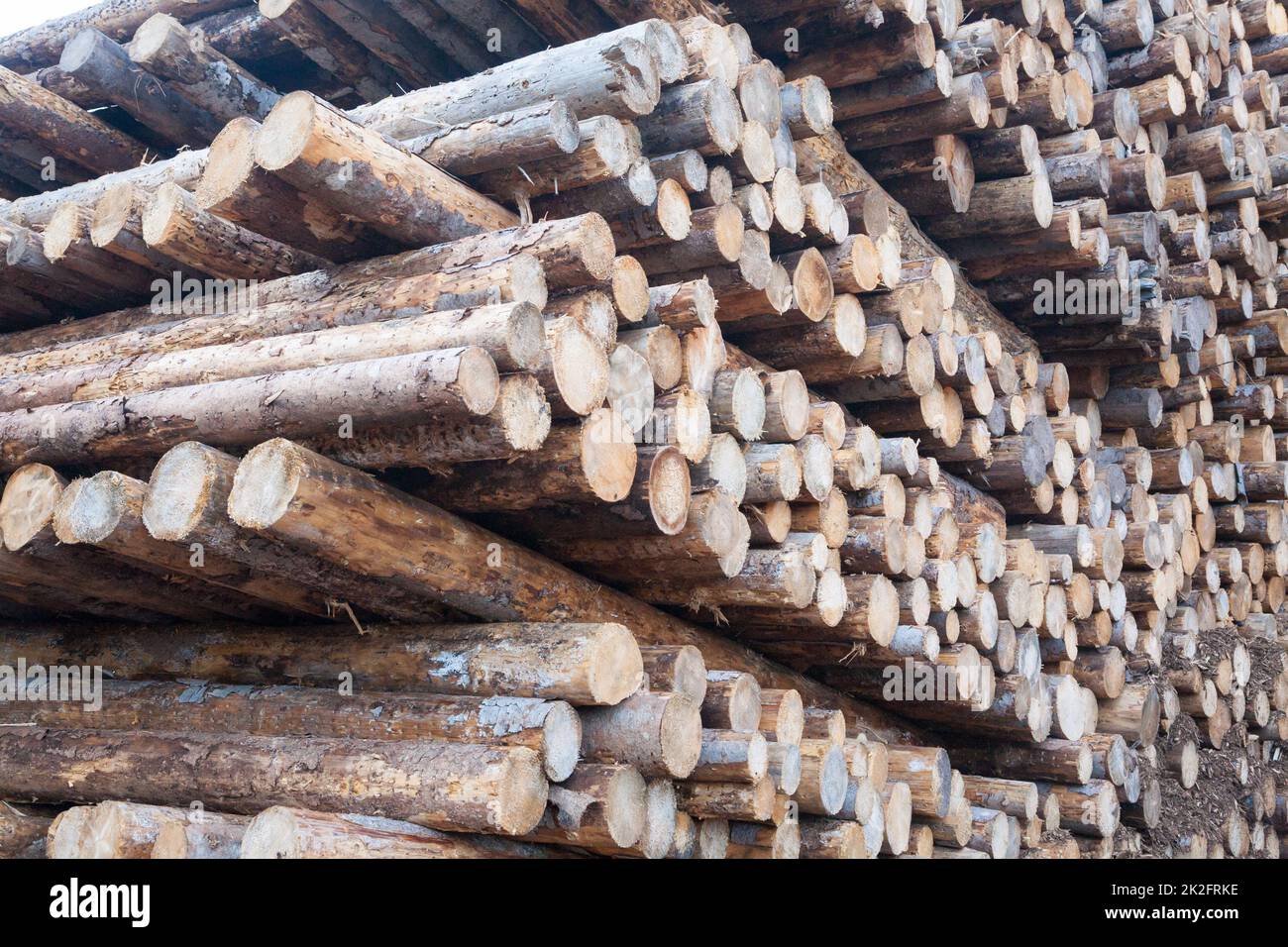 Pine logs hi-res stock photography and images - Alamy
