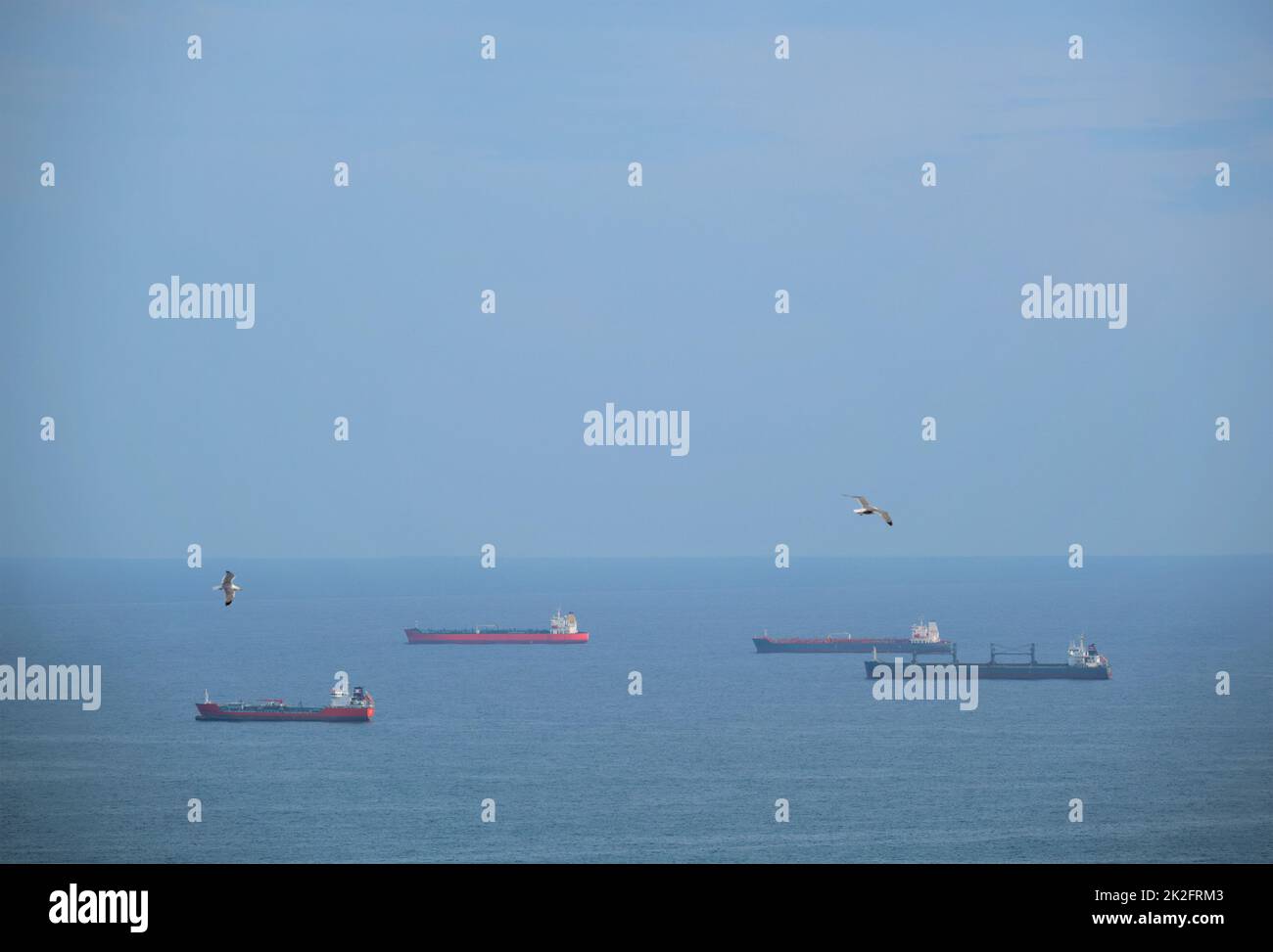 Cargo ships in sea and seagulls flying in the air Stock Photo - Alamy