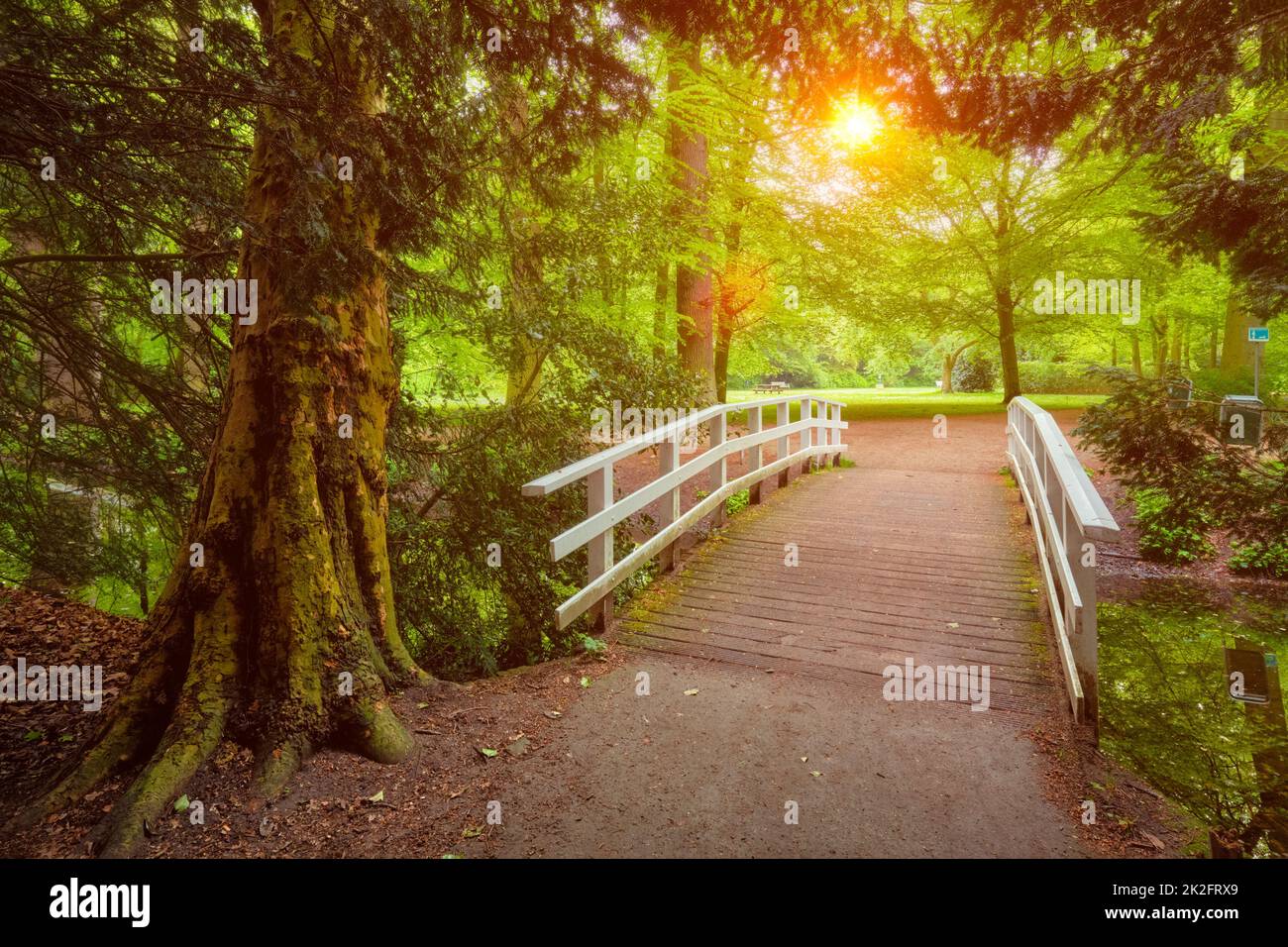 Bridge in a park on sunset Stock Photo - Alamy