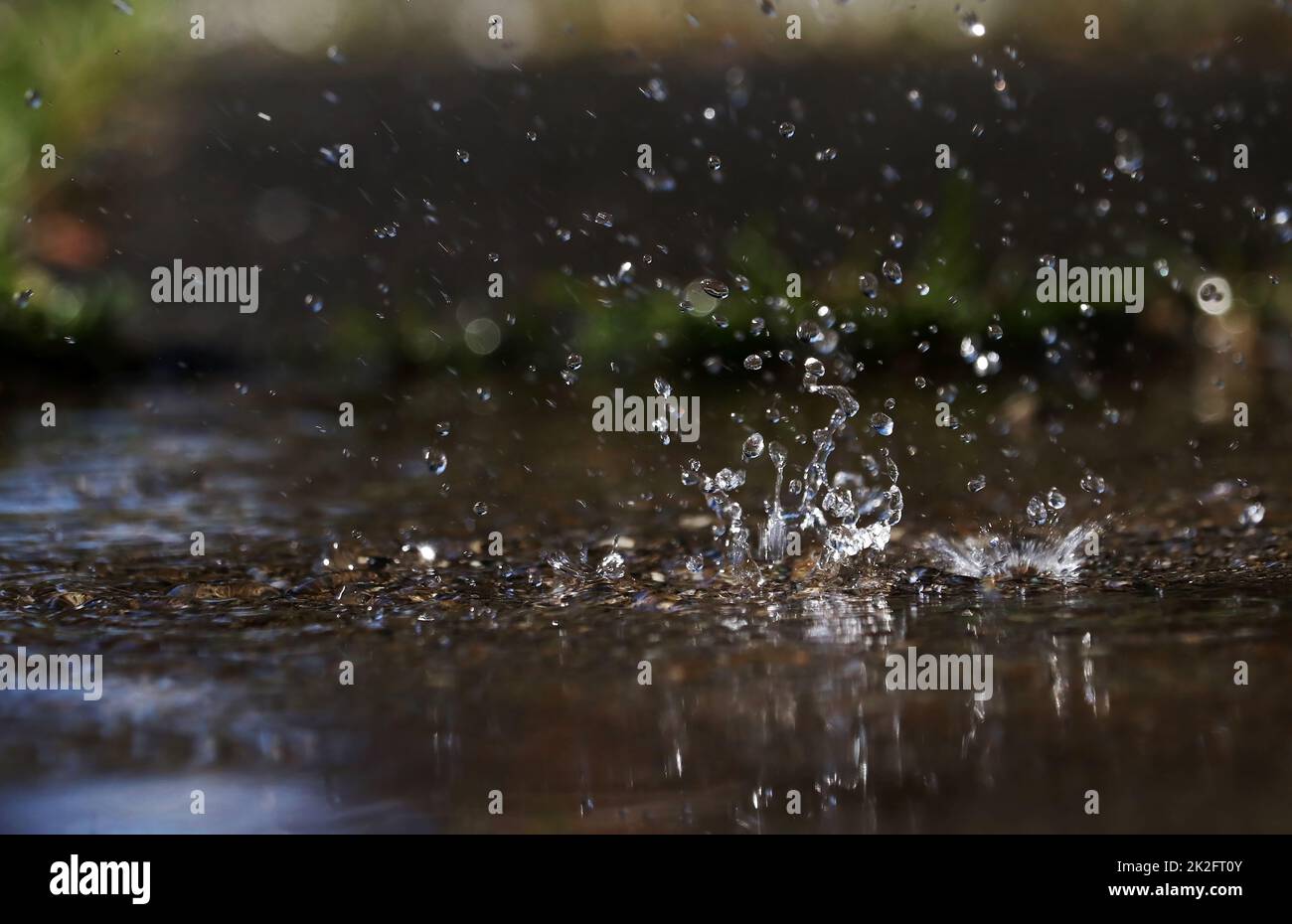 In heavy rain, large drops fall splashing on the ground Stock Photo - Alamy