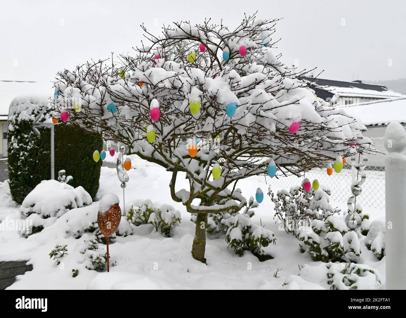 Snow bunny tree hi-res stock photography and images - Alamy