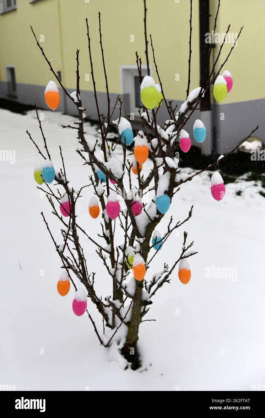 Colorful easter eggs with fresh snow Stock Photo - Alamy