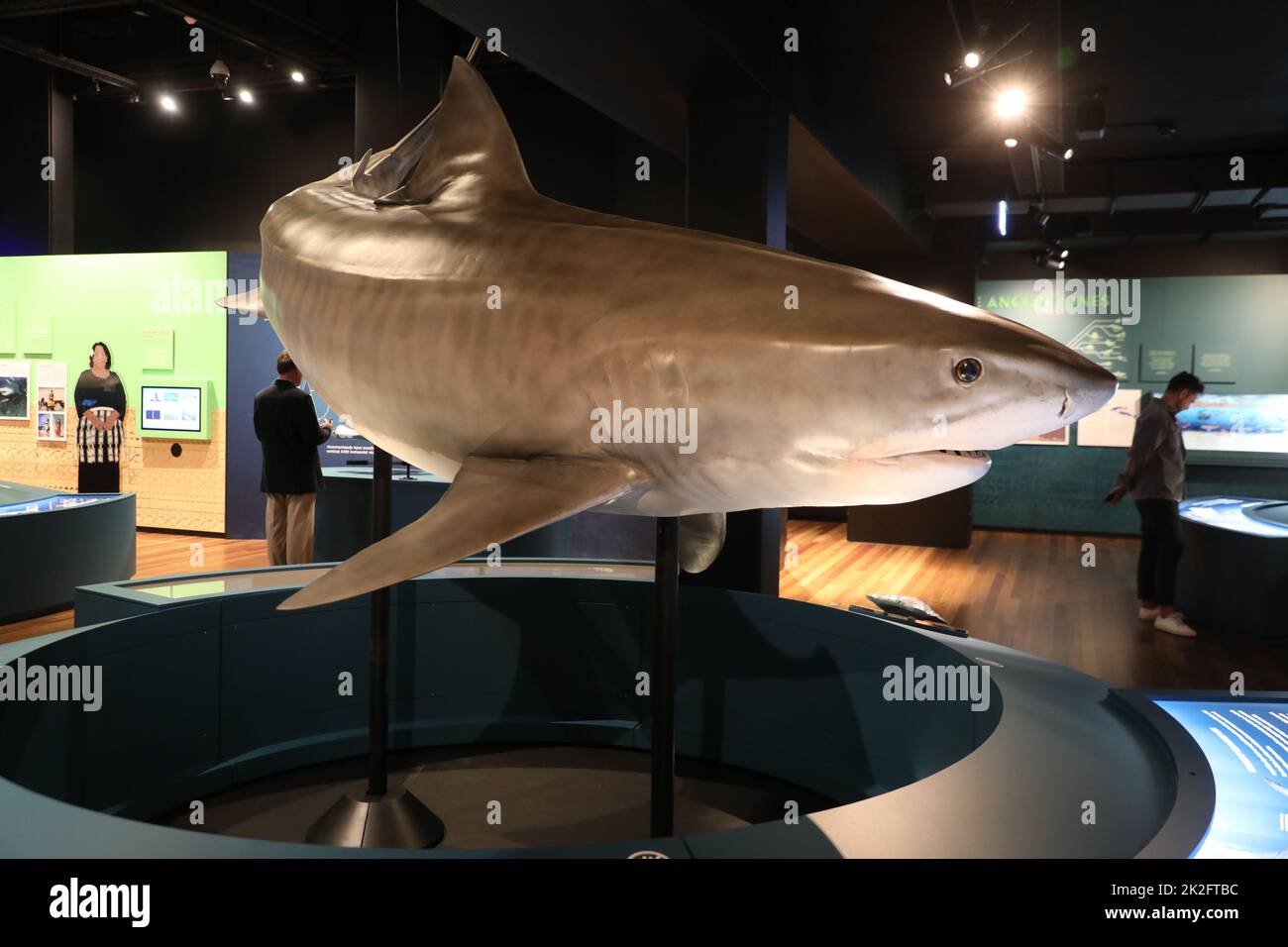 Sydney, Australia. 23rd September 2022. Sharks, a new blockbuster ...