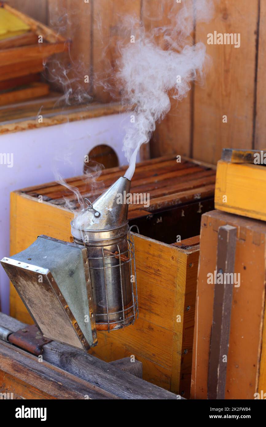 smoke pipe on a bee hive Stock Photo - Alamy