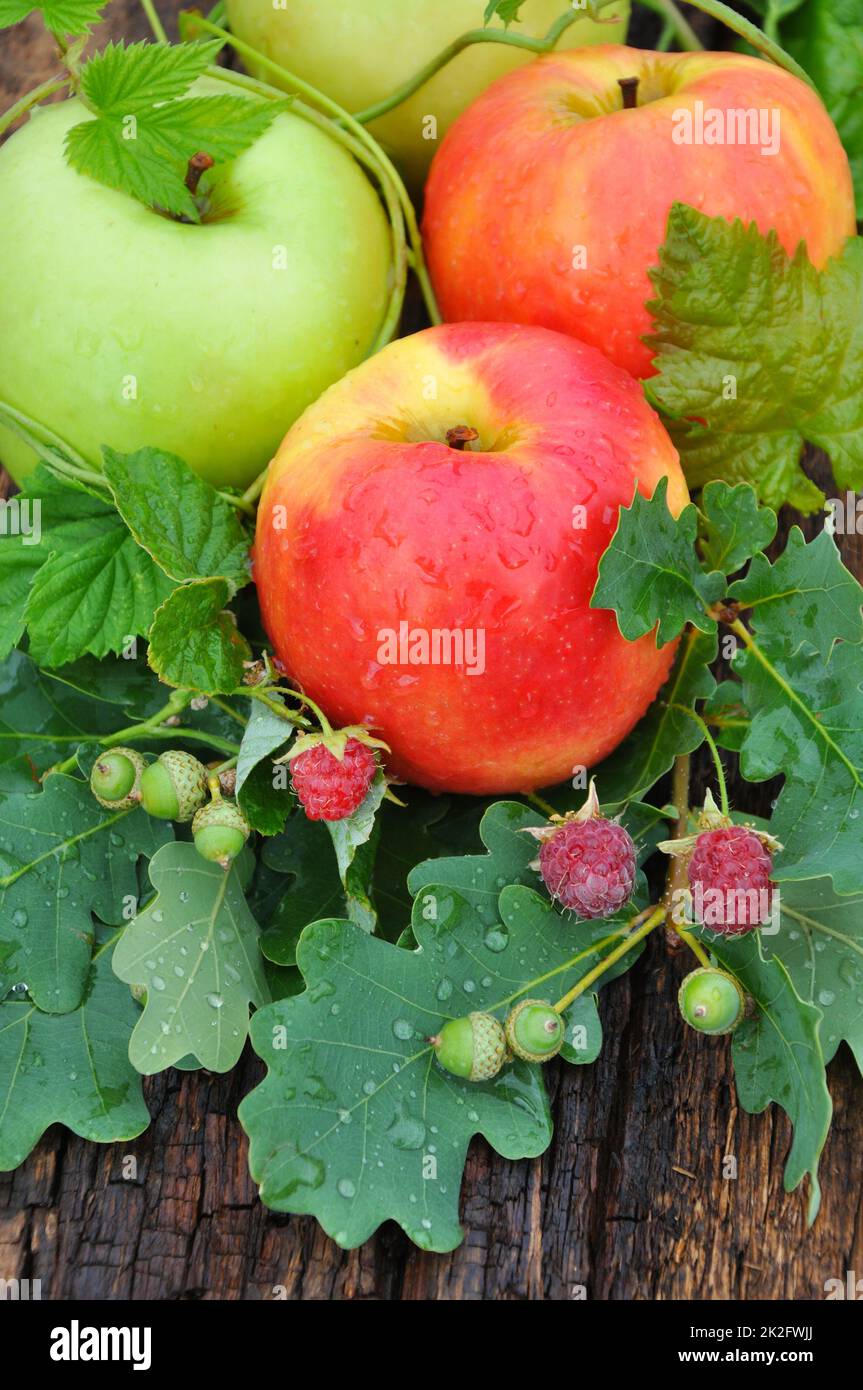 Ripe apple, red raspberry and oak leaves Stock Photo - Alamy