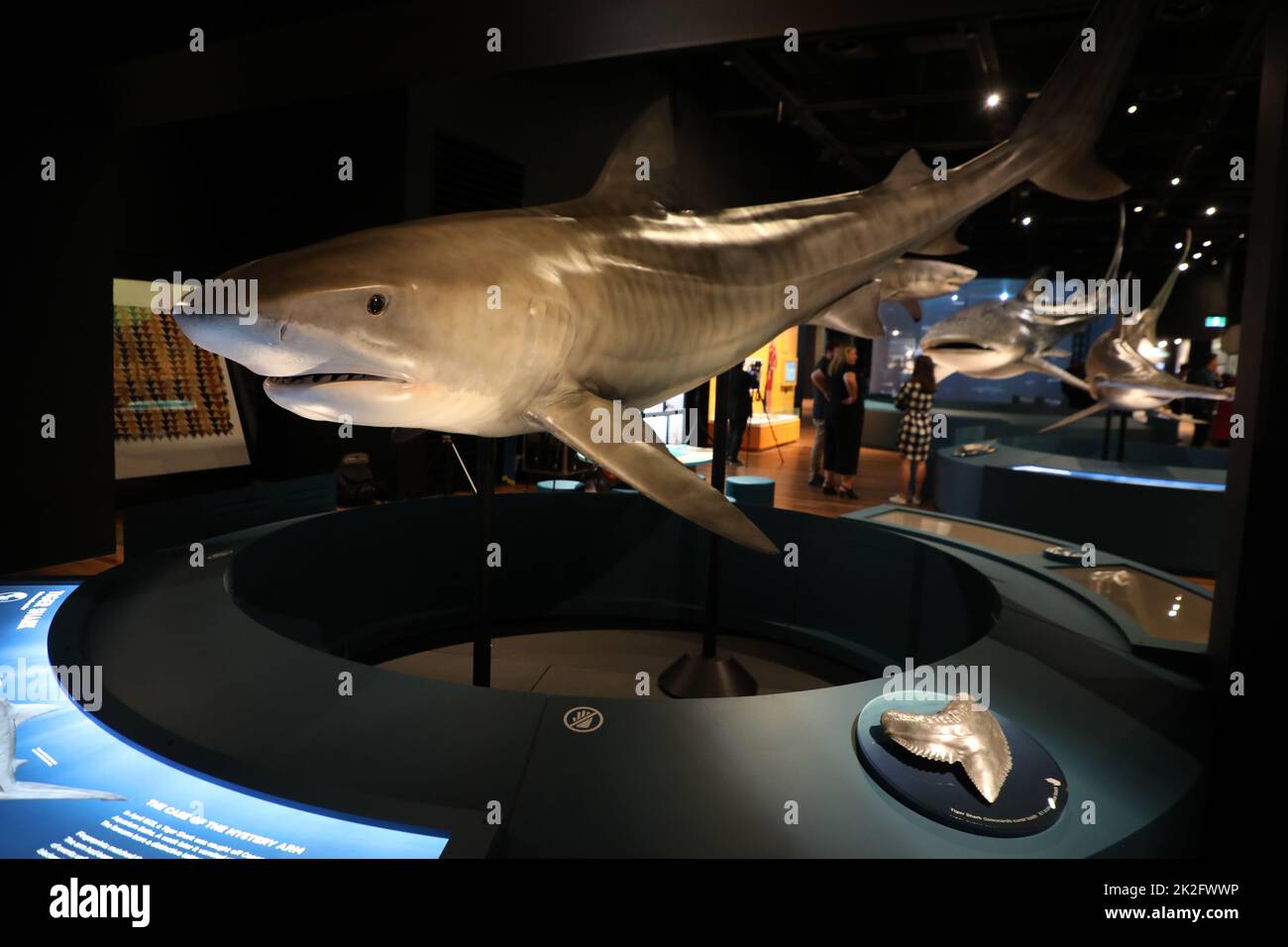 Sydney, Australia. 23rd September 2022. Sharks, a new blockbuster ...