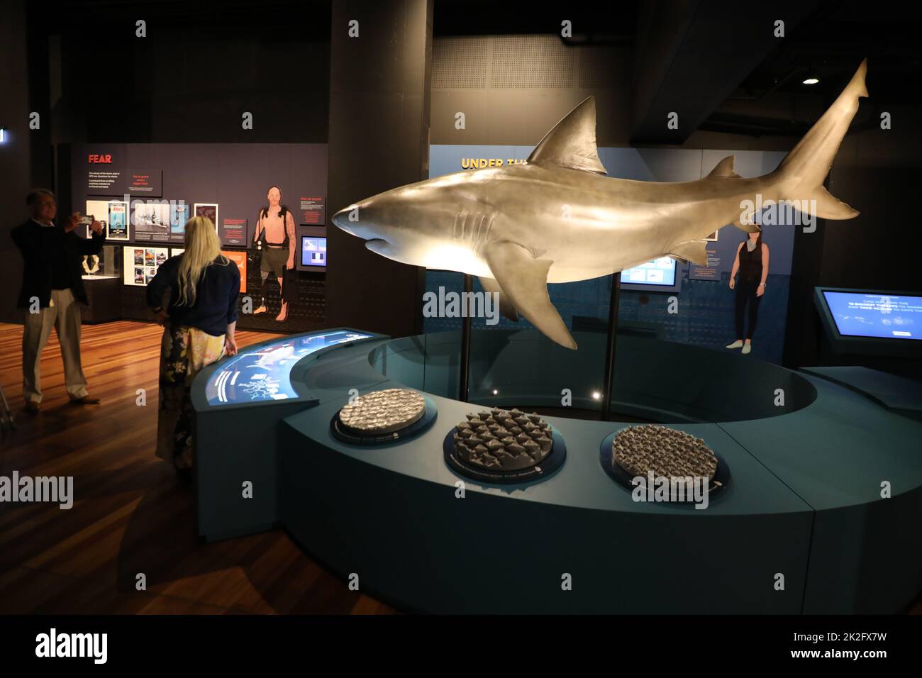 Sydney, Australia. 23rd September 2022. Sharks, a new blockbuster exhibition opening on 24 ...