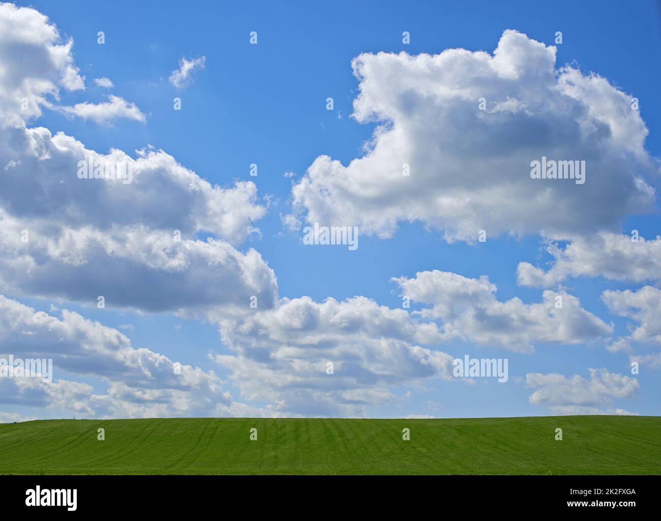 Idyllic summer scene. A landscape photo of a green field and blue sky ...