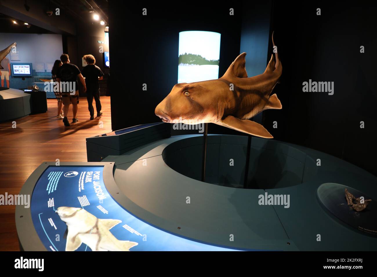 Sydney, Australia. 23rd September 2022. Sharks, a new blockbuster ...
