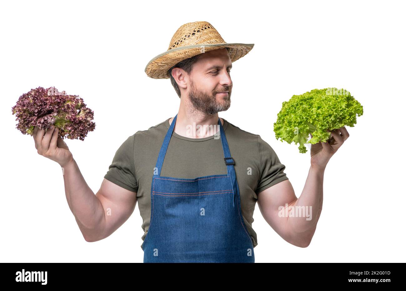 gardener in apron and hat with healthy lettuce vegetable isolated on ...