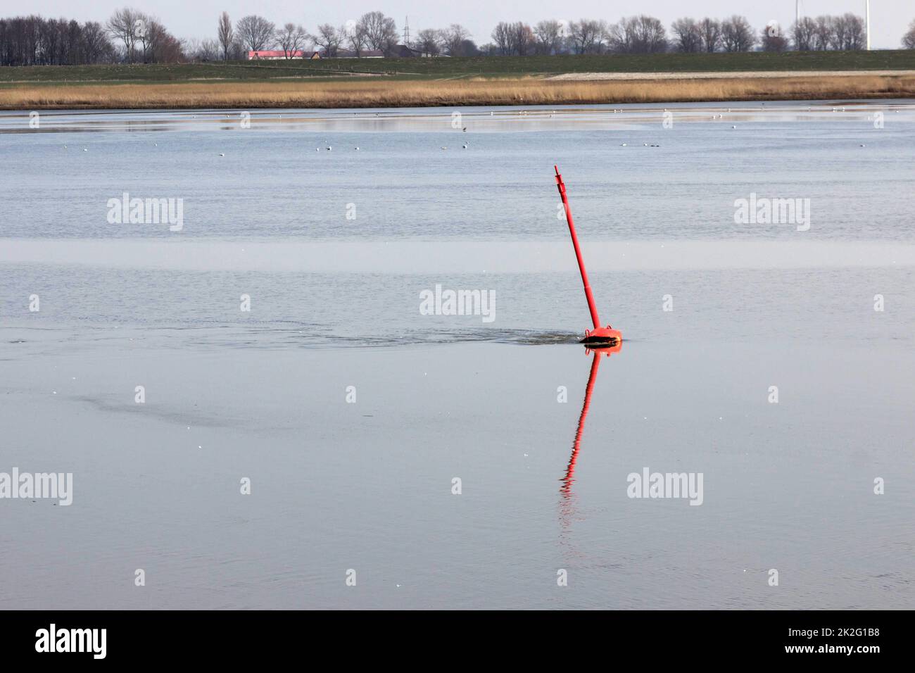 Red fairway buoy in the current Stock Photo - Alamy