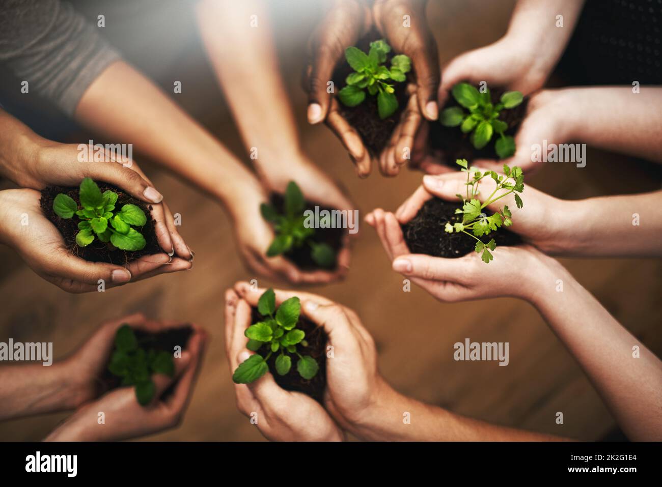 Protecting the earth one plant at a time. Cropped shot of a group of ...