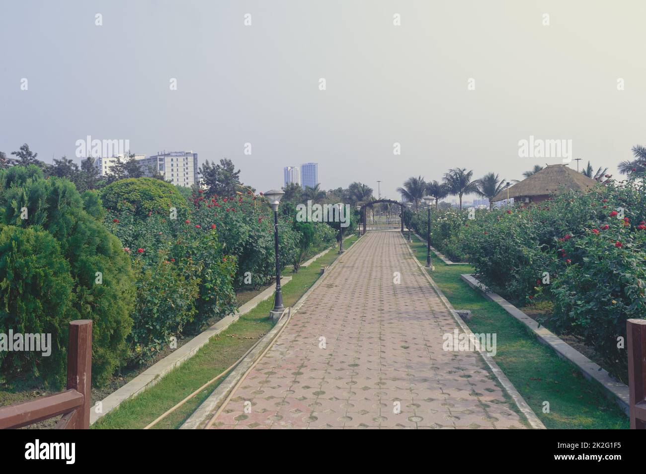 Brick road footpath along the garden trees on a public park- natural ...