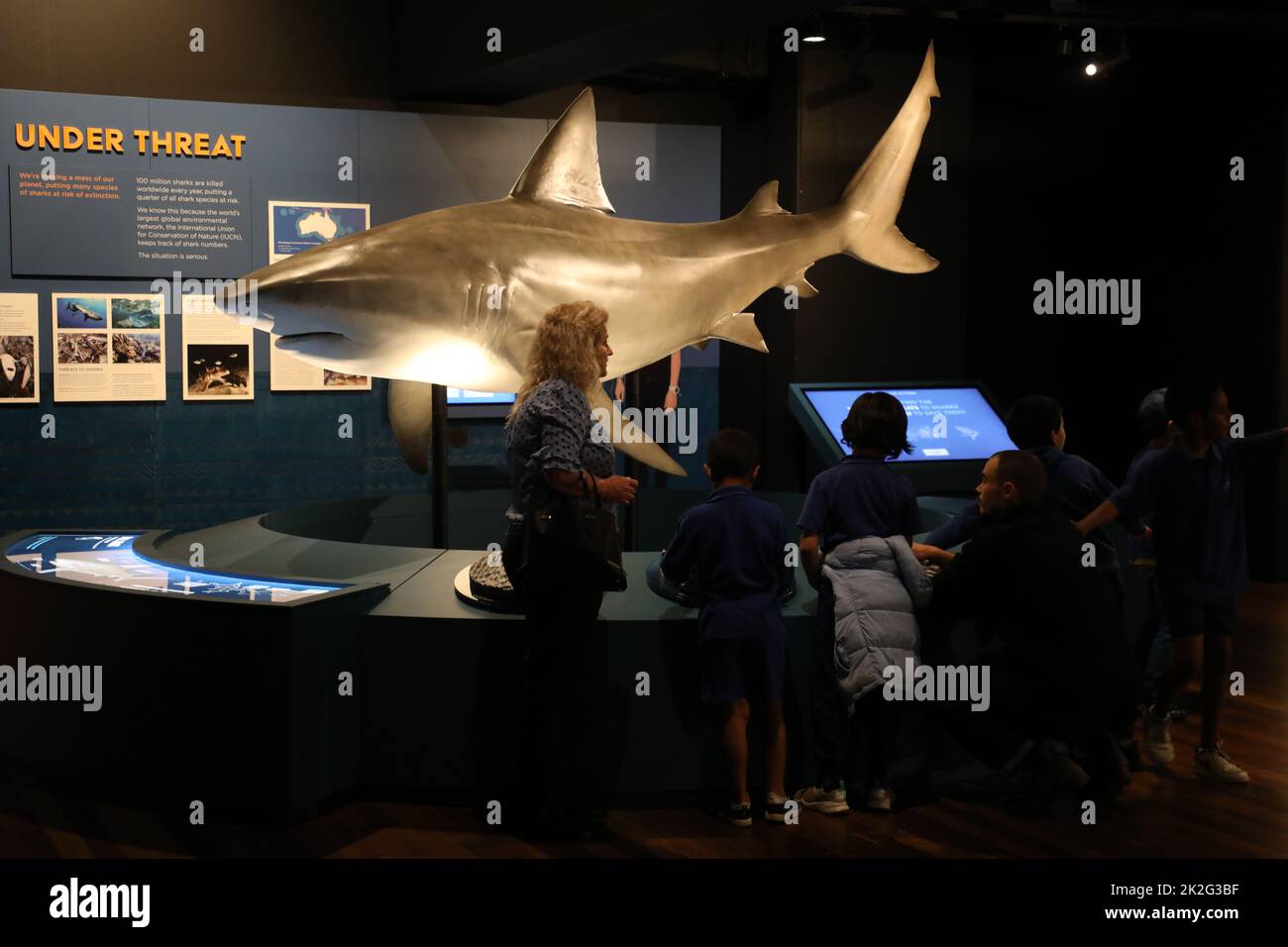 Sydney, Australia. 23rd September 2022. Sharks, a new blockbuster ...