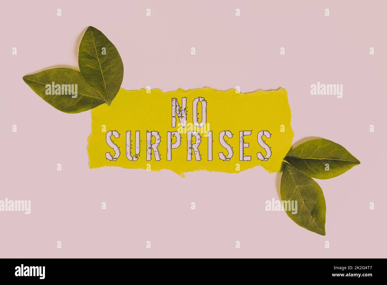 Hand writing sign No Surprises. Business approach Presupposed Eventual ...