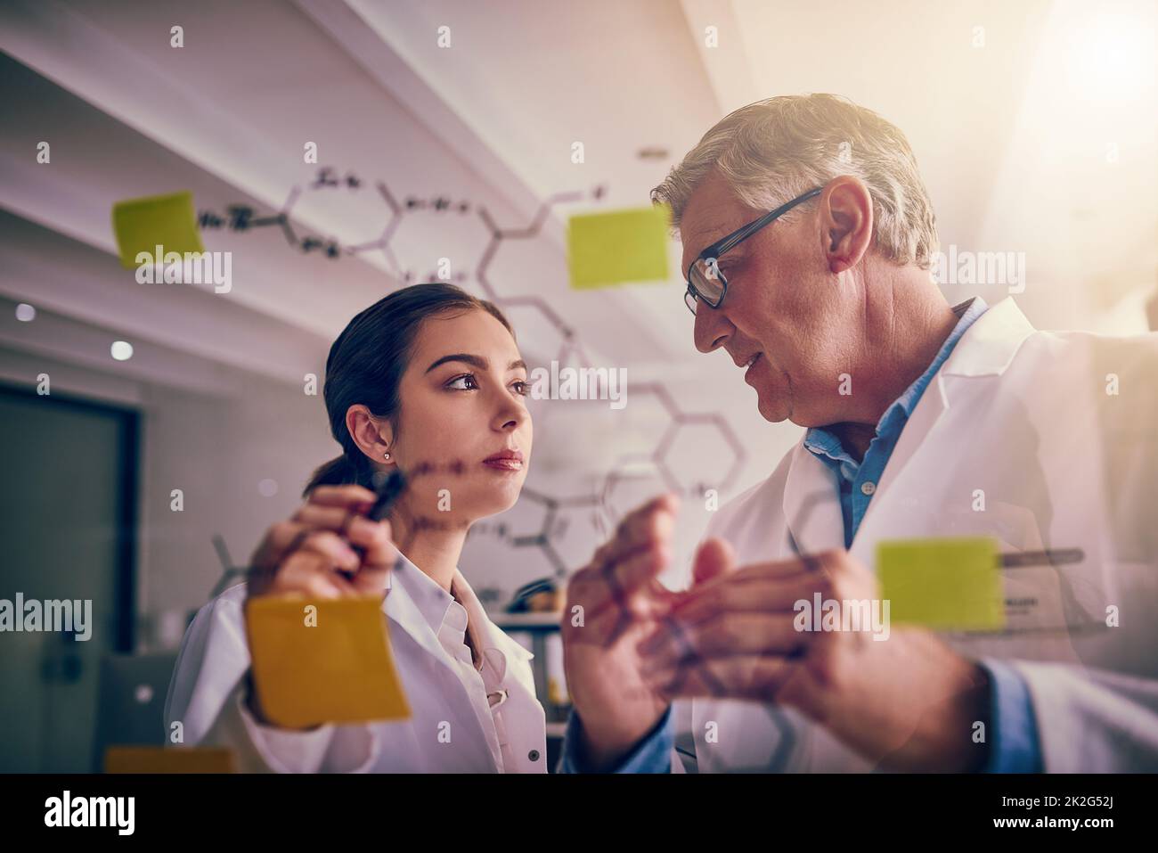 What do you think about my theory. Shot of two focused scientists ...