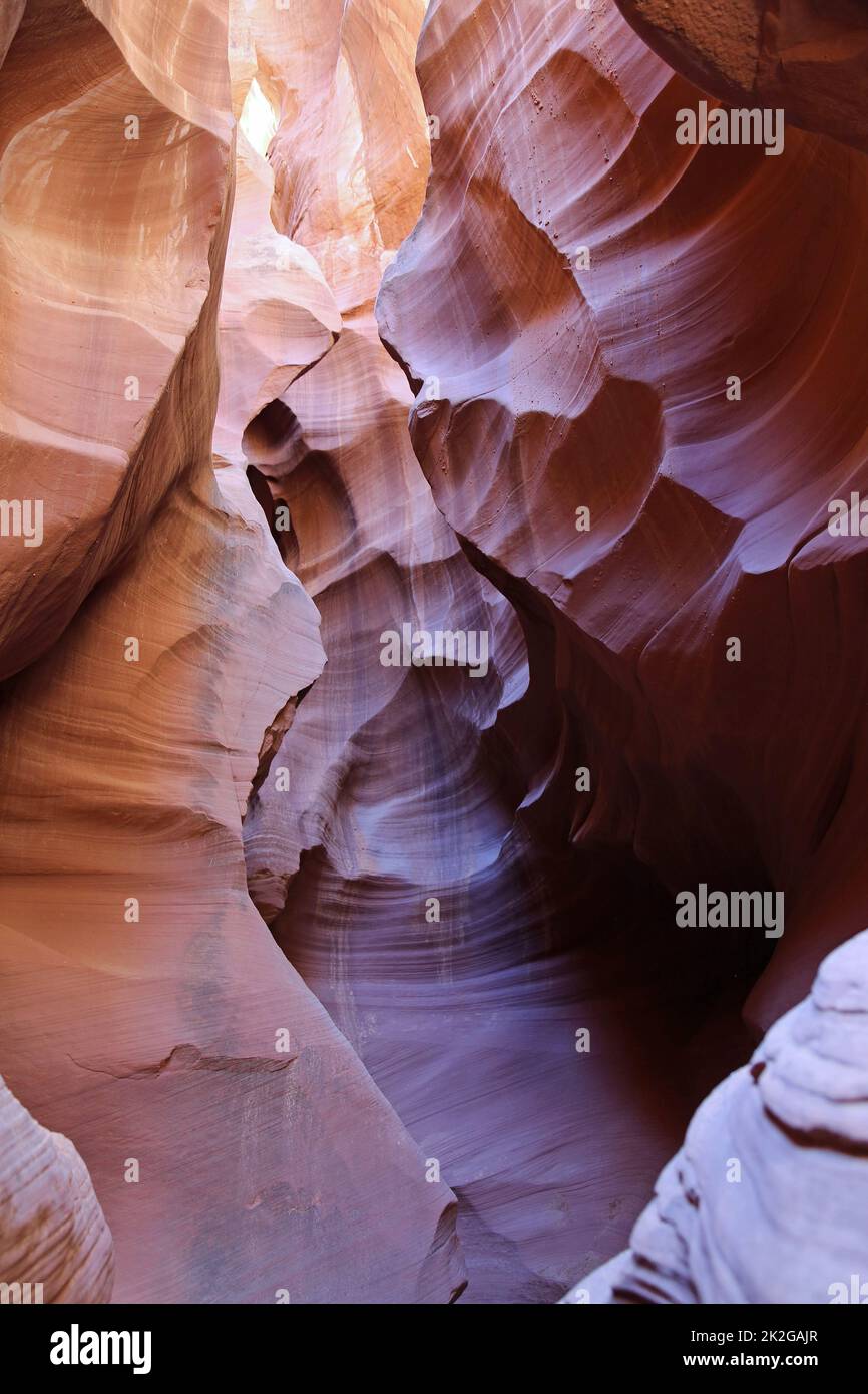 Inside Secret Antelope Canyon vertical, Arizona Stock Photo - Alamy
