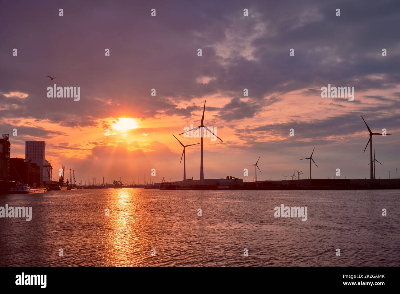 Belgium wind turbines hi-res stock photography and images - Alamy