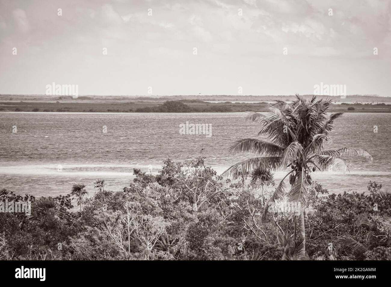 Muyil Lagoon panorama view in tropical jungle of amazing Mexico Stock ...