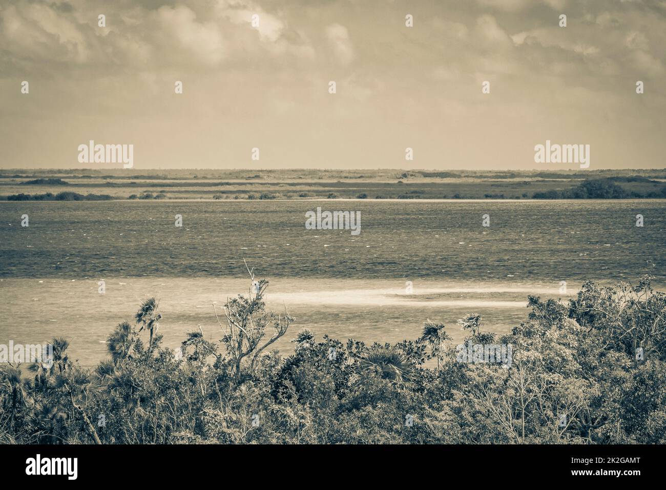 Muyil Lagoon panorama view in tropical jungle of amazing Mexico Stock ...