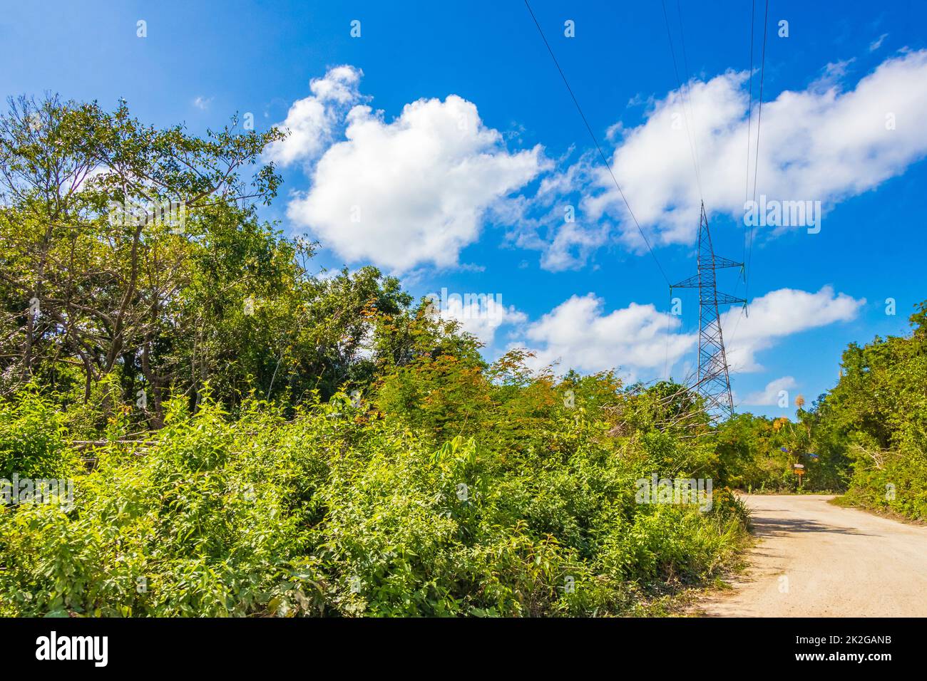 Driving on gravel path road in Tulum jungle nature Mexico Stock Photo ...