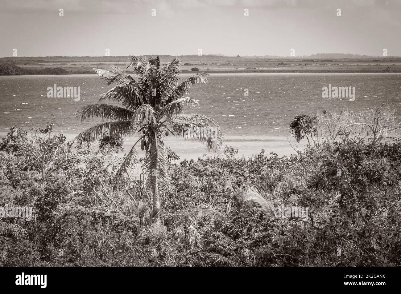 Muyil Lagoon panorama view in tropical jungle of amazing Mexico Stock ...