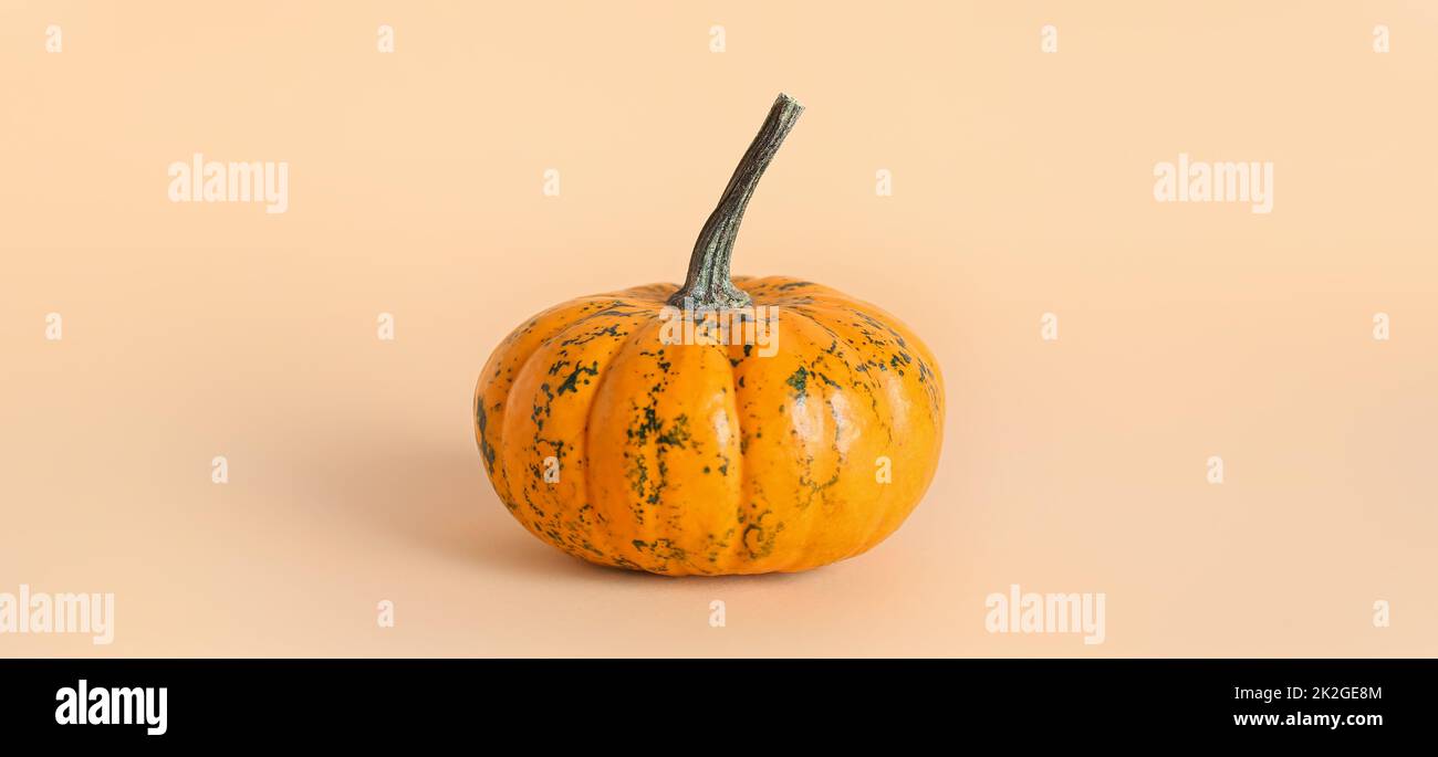 Ripe pumpkin on beige background Stock Photo - Alamy