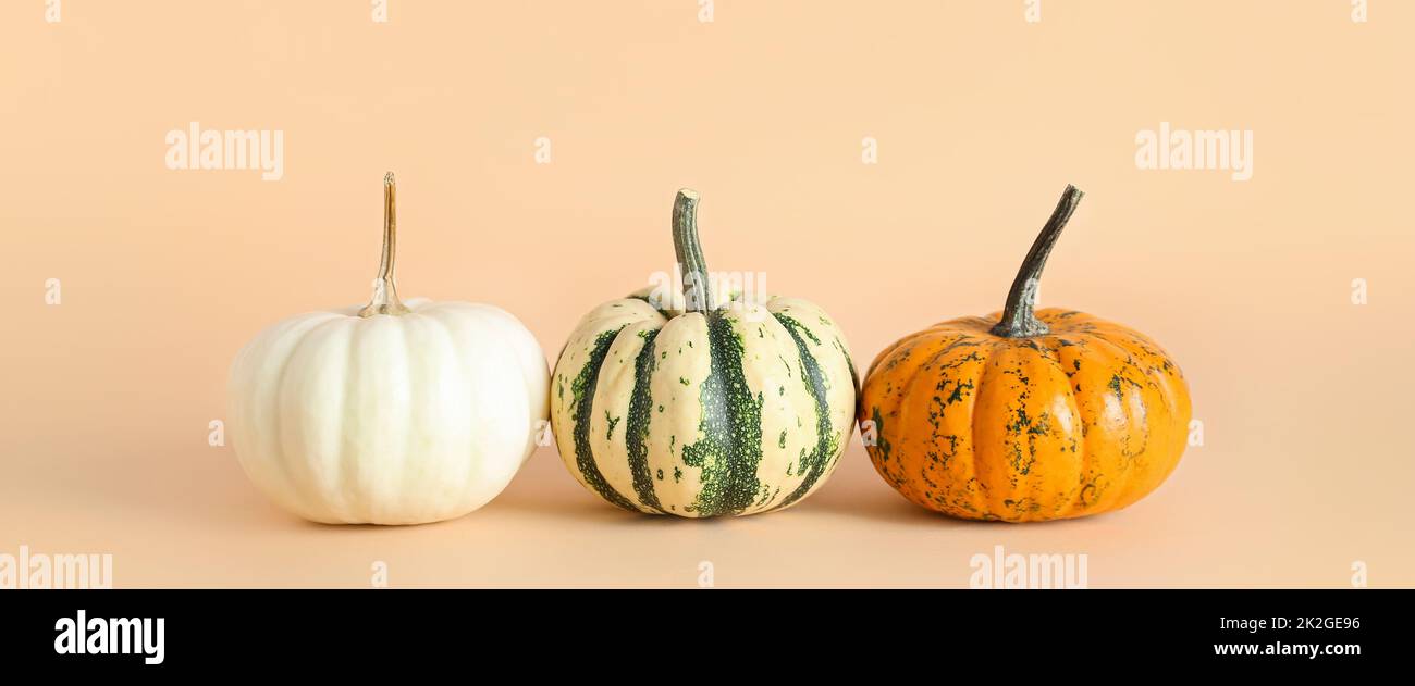 Ripe pumpkins on beige background Stock Photo - Alamy