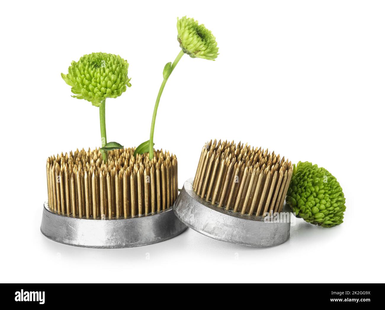 Ikebana kenzans with flowers on white background Stock Photo - Alamy