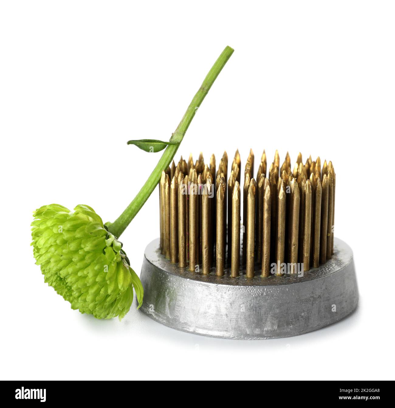 Ikebana kenzan with flower on white background Stock Photo - Alamy