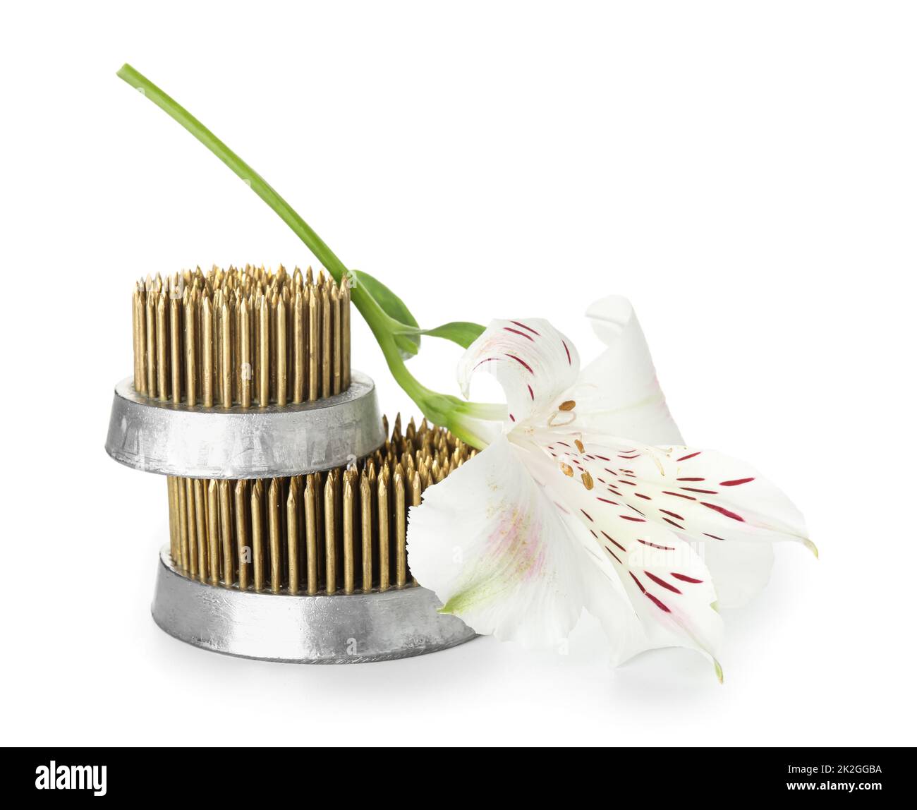 Ikebana kenzan with flower on white background Stock Photo - Alamy