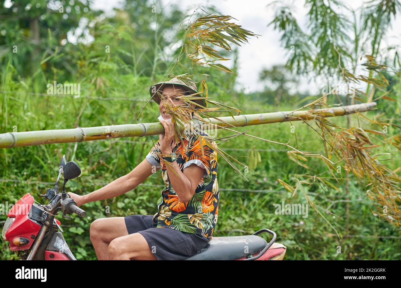 Man carrying bamboo poles hi-res stock photography and images - Alamy