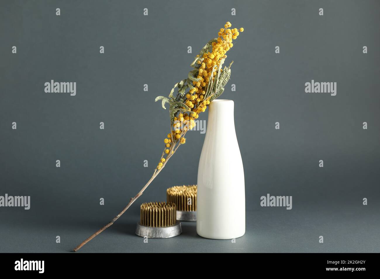 Kenzans for ikebana with mimosa flowers and vase on black background ...