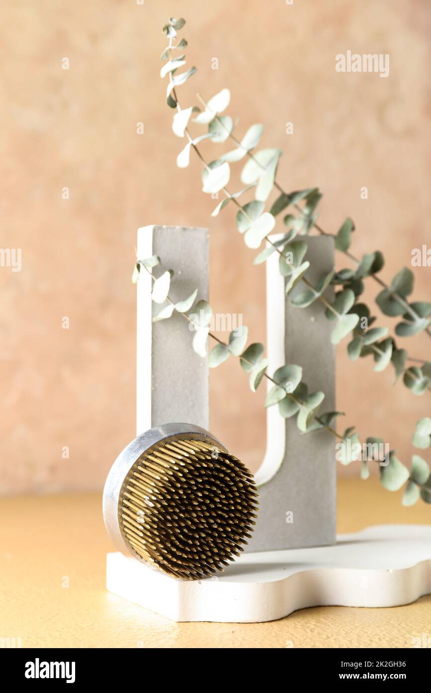Kenzan for ikebana with eucalyptus branches and decor on beige ...