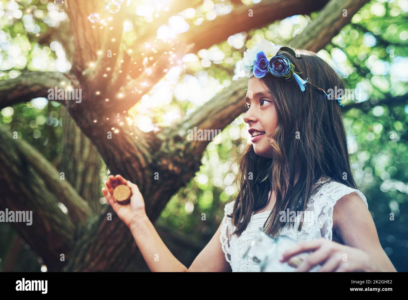 Catching Fireflies Photography