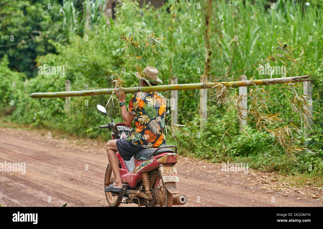 Man carrying bamboo poles hi-res stock photography and images - Alamy