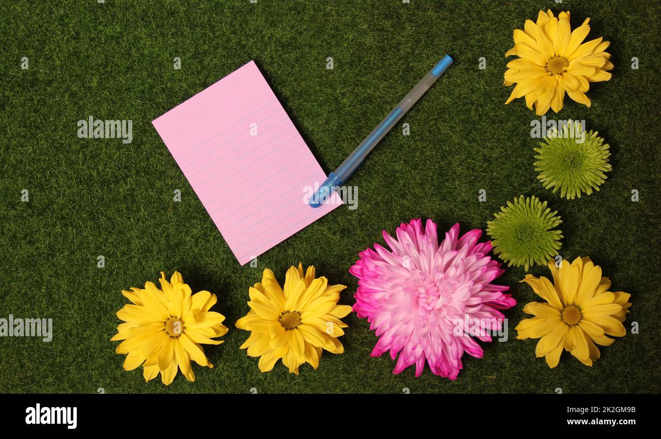 Blank Note paper on Green Grass Background With Colorful Flowers Stock ...
