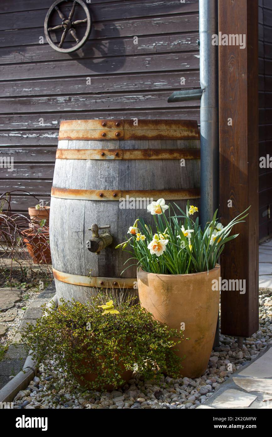 Rustic stone greenhouse hi-res stock photography and images - Alamy