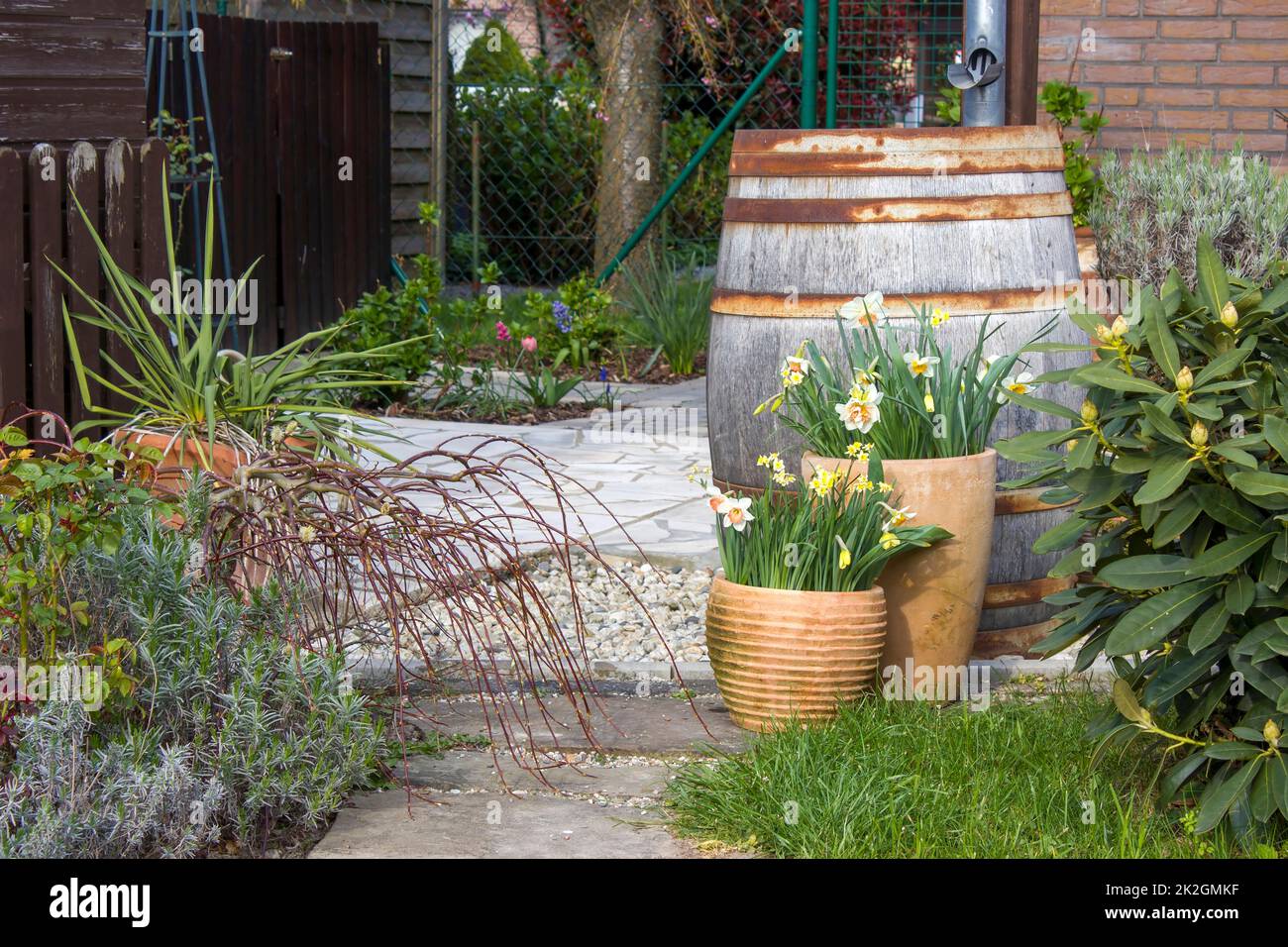rustic garden - blooming spring flowers Stock Photo - Alamy